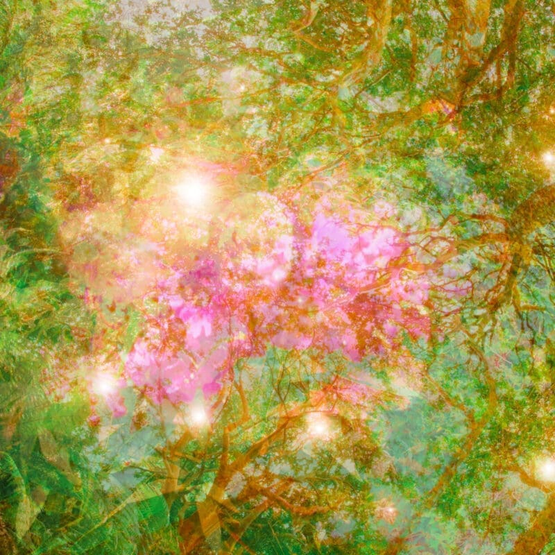 Her Most Famous Painting (Big Raven) – Emily Carr - Irish Artmart